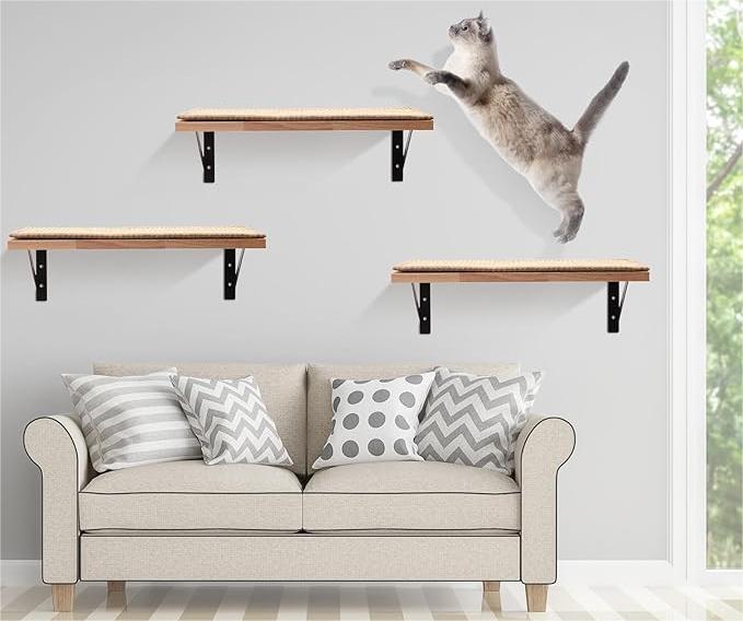 Unveiling the Best Wall Mounted Cat Fixtures of the Year: Crafting a ...