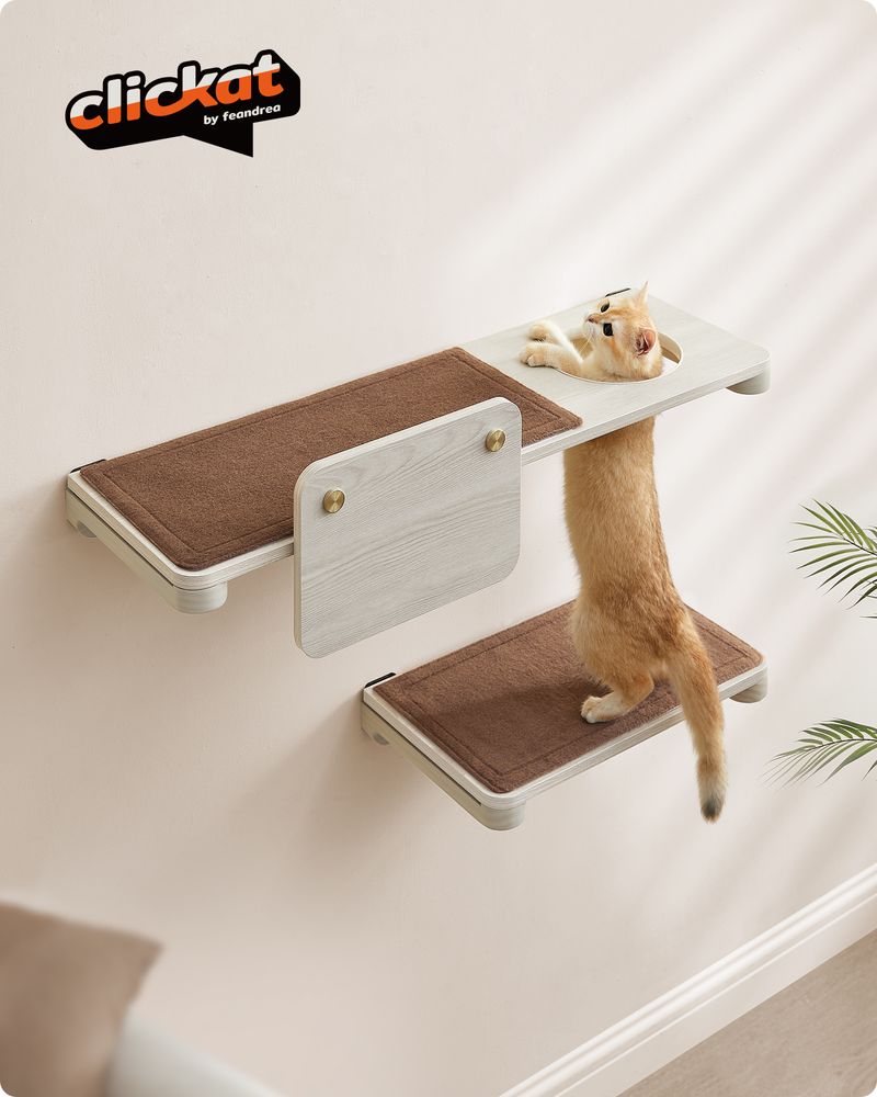 Cat Wall Playground - Make your home a paradise for cats | SONGMICS HOME