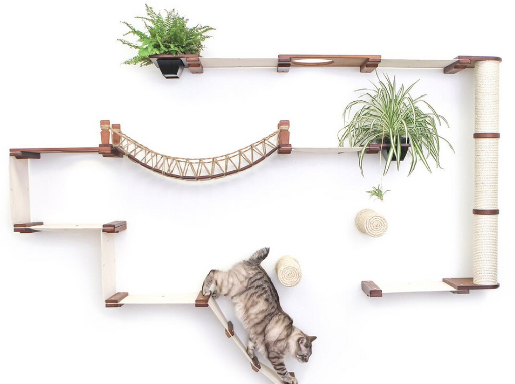 Personalize your cat’s playtime with DIY cat wall furniture | SONGMICS HOME