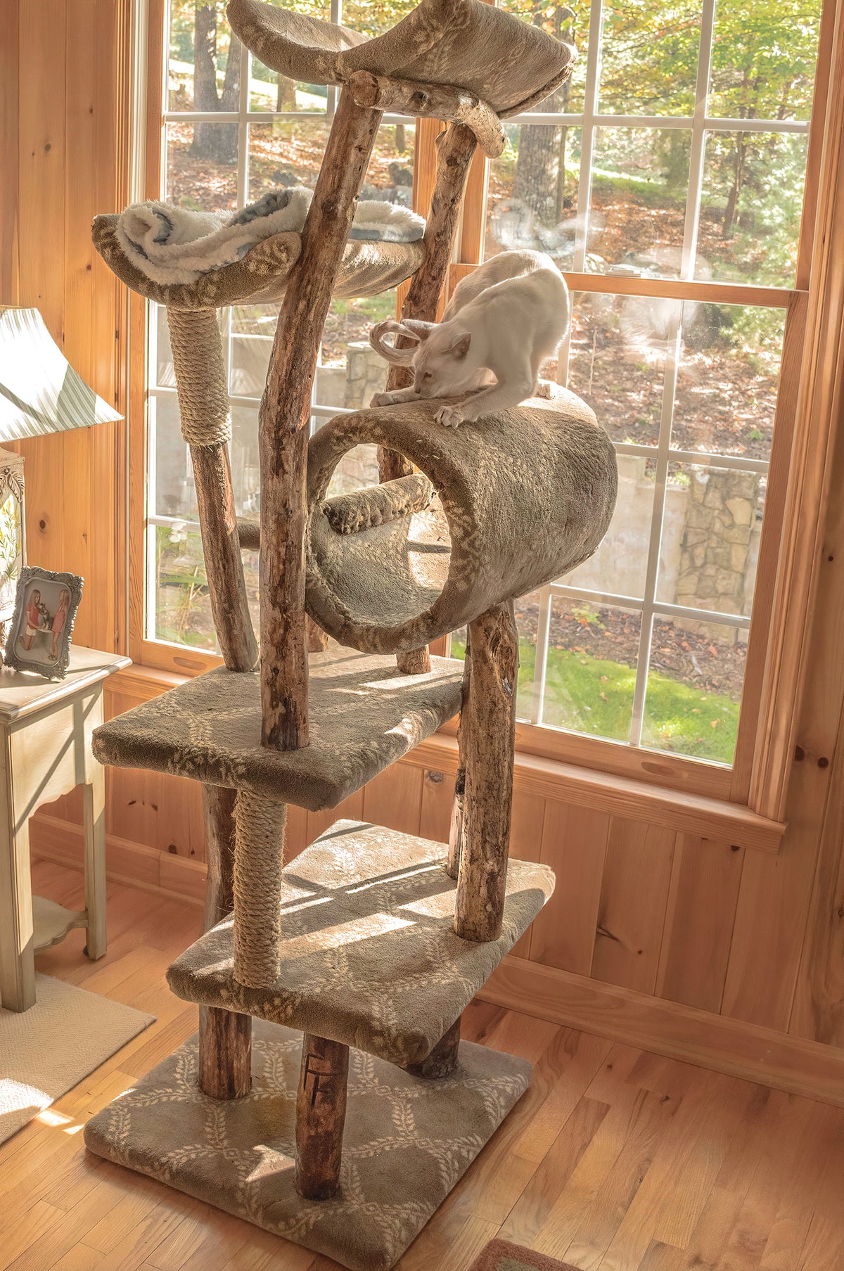 DIY Cat Tree Ideas: Creating a Feline Paradise | SONGMICS HOME