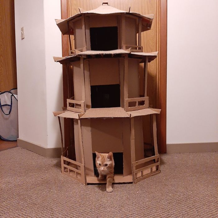 Crafting Joy: The DIY Cardboard Cat Tree Guide | SONGMICS HOME